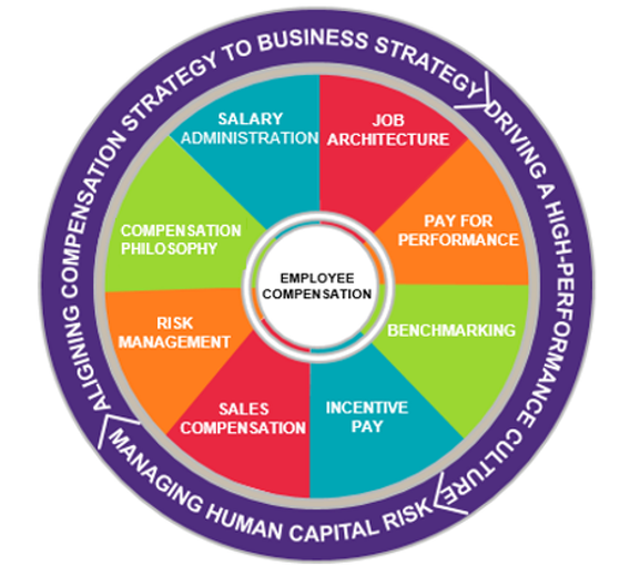 Runway to HCM Transformation: What to do the Year Before Your HR ...